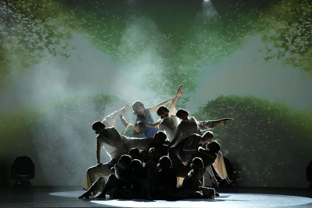 Davis Dance Academy – Where technique and movement fuse